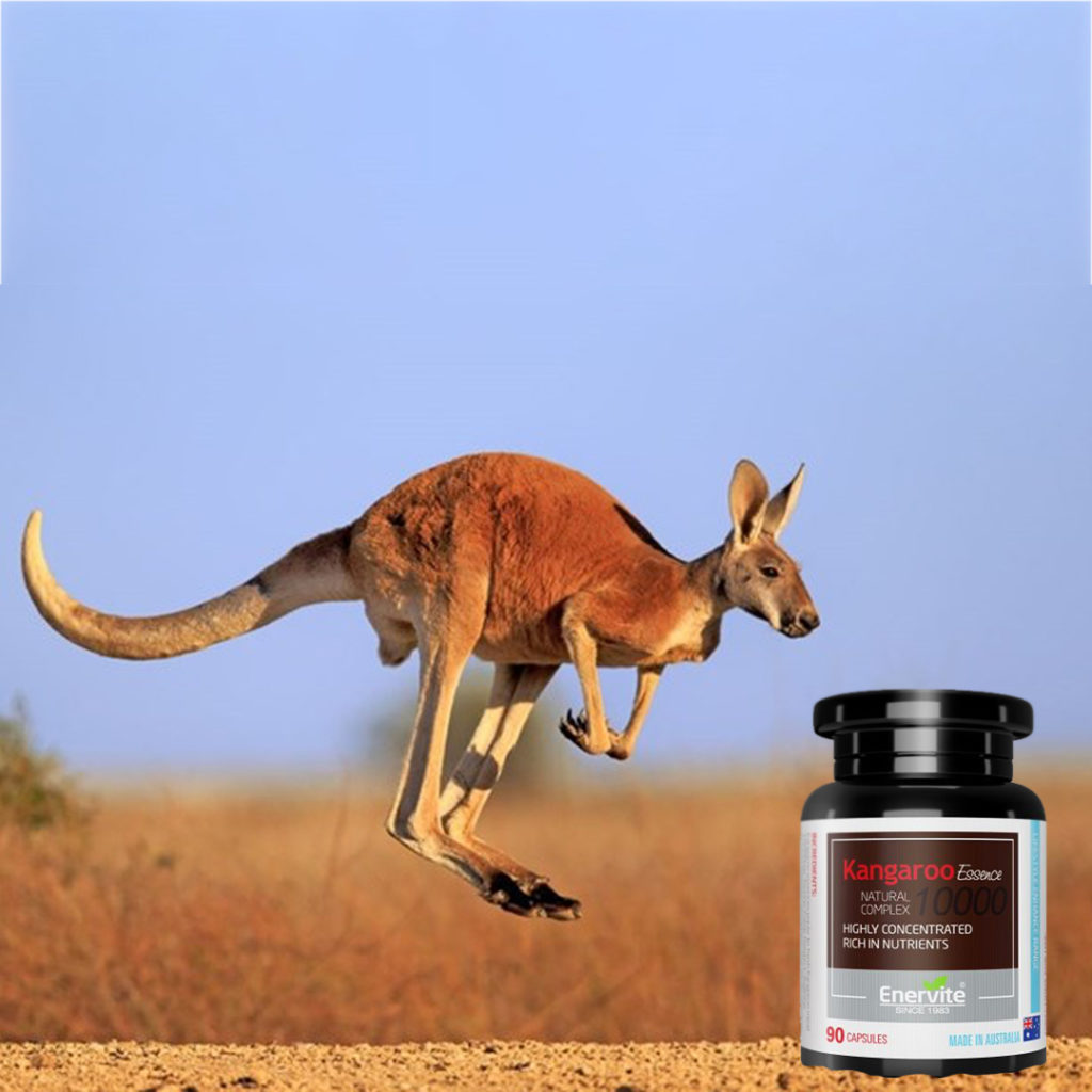 Kangaroo Essence – SoHealthy